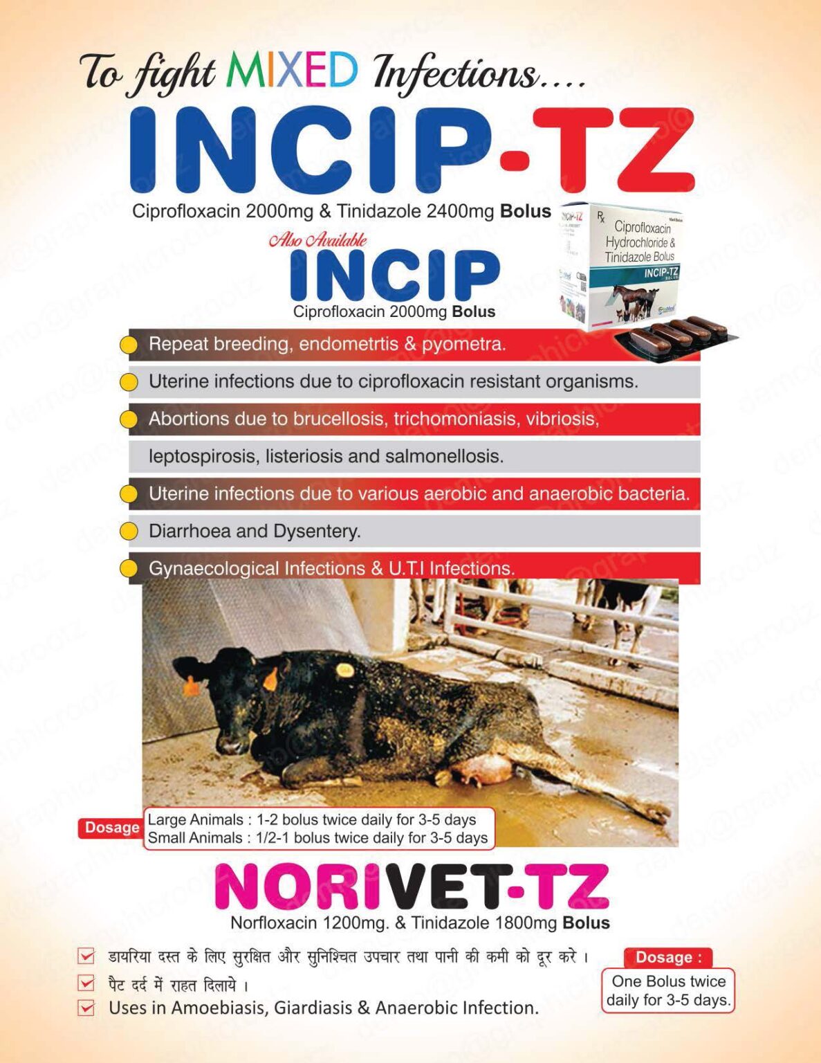 Premium Products Visual Aids by Inmed Animal Health